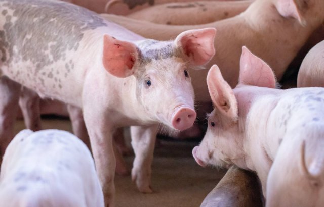 Zo bescherm je je bedrijf tegen griep - Nieuwe Oogst