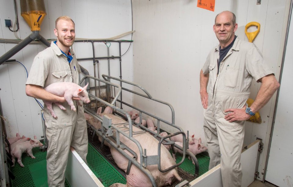 Resultaat door effectieve zorg zeug en big - Nieuwe Oogst