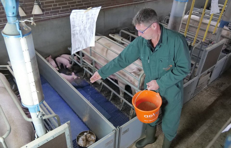 Gert Custers profiteert van gewijzigde voerkoers - Nieuwe Oogst